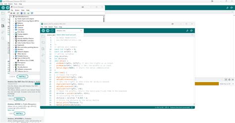 Arduino Port Issue Rarduino