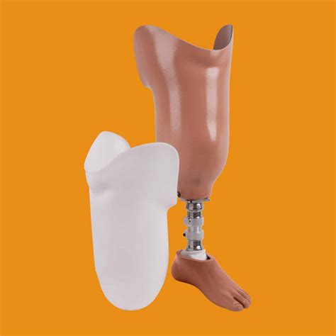 Transtibial Sockets Orthomerica Products Inc Transtibial Sockets Orthomerica Products Inc