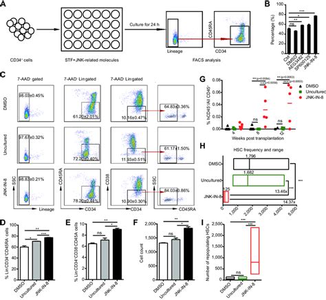 Transient Inhibition Of The Jnk Pathway Increased The Hsc Number In Cb