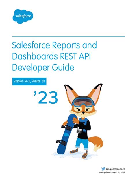 Salesforce Analytics Rest Api Pdf String Computer Science