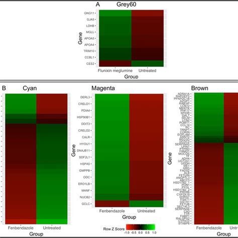 Expression Profiles Of Genes With Significant Differences In Transcript Download Scientific