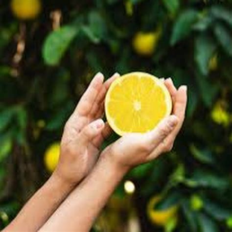 The Lemon Guy Youtube