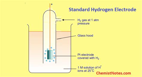 Draw A Neat And Well Labelled Diagram Of Standard Hydrogen Electrode My XXX Hot Girl