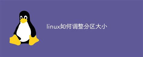 linux如何調整分割區大小 linux運維 php中文網