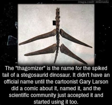 Thagomizer 9gag