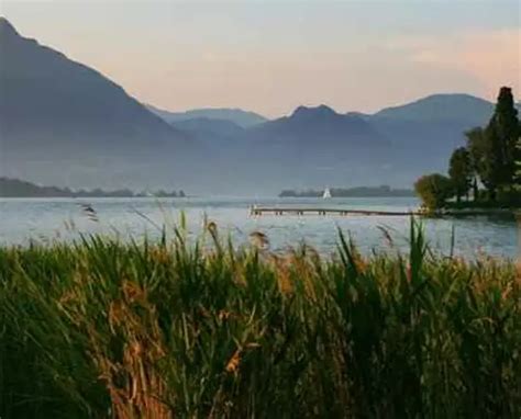 Iot 프로그래밍 기초와 센서 연결 가이드 드림코브