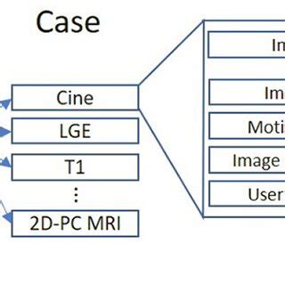 Schematic Representation Of The Data Model Download Scientific Diagram