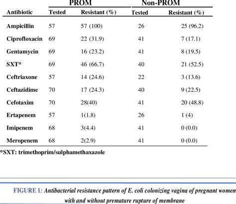 Antimicrobial Resistance Pattern Among Vagina Pathogenic Bacteria Isolates Download Scientific