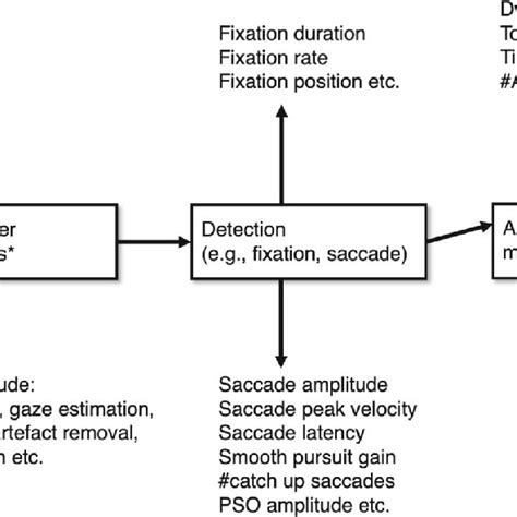 From Eye Orientation To Higher Order Eye Tracking Measures This Is A Download Scientific