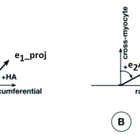 Definitions Of Helix Angle Ha And Angle Of The Secondary Download Scientific Diagram