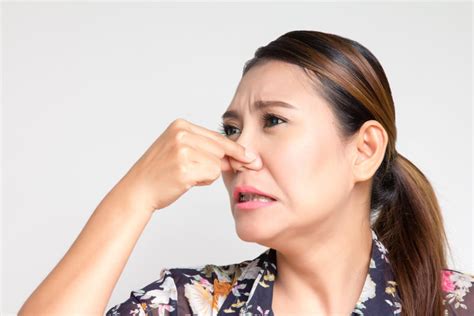 What's That Smell? 5 Reasons Why HVAC Smells Off