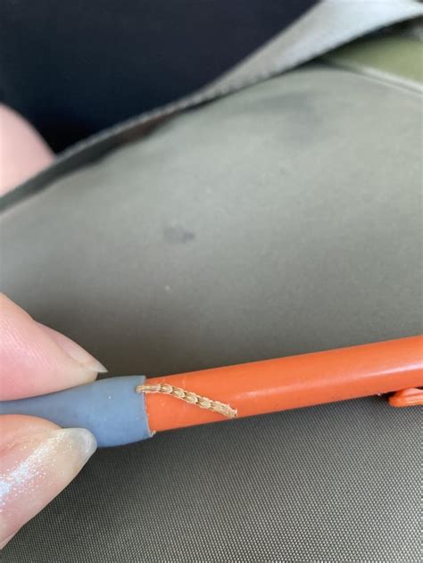 Identification Of Inchworm Found In Massachusetts Approximately 1