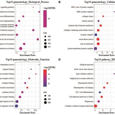 Functional Differences Of The Molecular Subtypes A Biological