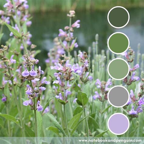 7 Beautiful Sage Green Color Palette Ideas With Hex Codes