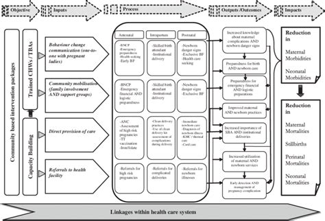 Conceptual Framework For Maternal And Neonatal Health Community Based Download Scientific