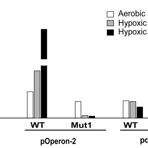 Comparison Of Promoter Activity Using Gfp Reporter Assay Gfp