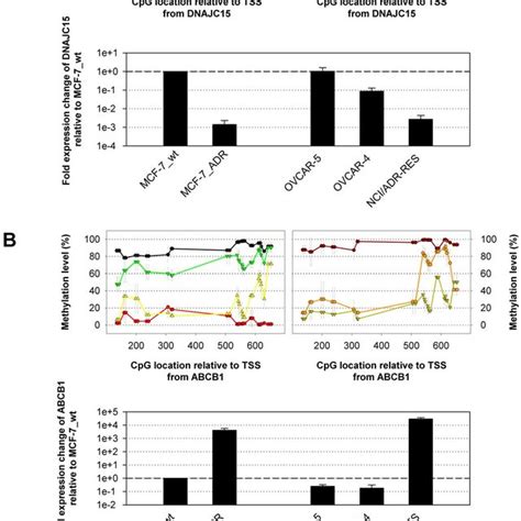 Hyper And Hypo Methylation Events Occur In Distinct Cgi Sub Regions