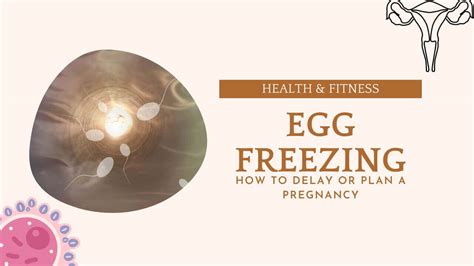 Egg Freezing How To Delay Or Plan A Pregnancy 2025