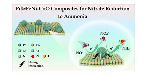 Enhanced Metalsupport Interfacial Interaction Of Pdfeni Coo Composites For Efficient Nitrate