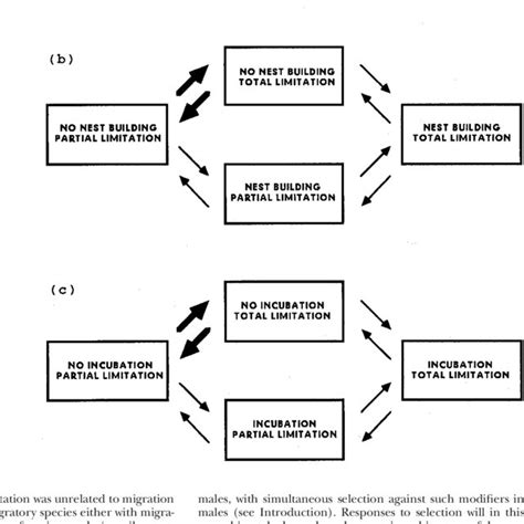 Flow Diagrams Showing Significant Pathways Thick Arrows And