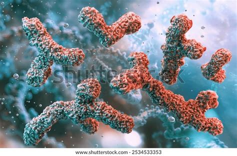 Probiotics Bifidobacterium Lactobacillus Streptococcus Thermophilus Enterococcus Stock