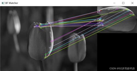 Opencv快速入门：特征点检测与匹配opencv特征点检测与匹配 Csdn博客