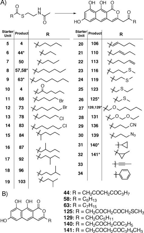 Starter Unit Flexibility For Engineered Product Synthesis By The Non Reducing Polyketide