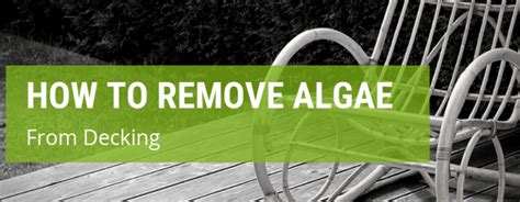 How To Remove Algae From Decking Jacks Garden