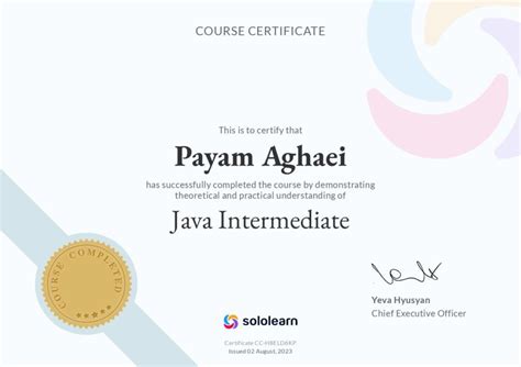 Payam Aghaei On Linkedin Sololearn Java Intermediate Certificate