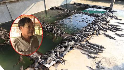 អ្នក ចិញ្ចឹម ក្រពើ អះ អាង ថា គ្មាន ការ គំរាម កំហែង ពី ទឹក ជំនន់ Tnaot