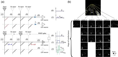 the ann is composed of binary stt mtjs that function as synapses a