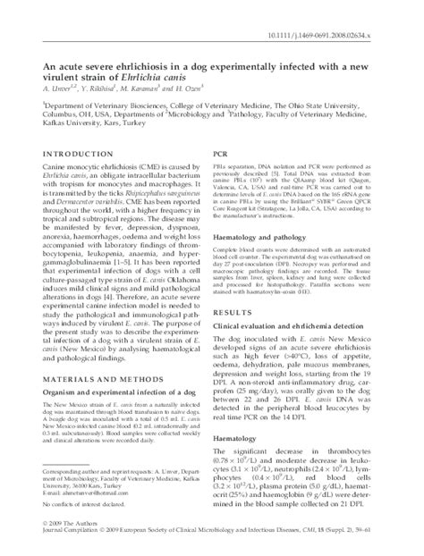 Pdf An Acute Severe Ehrlichiosis In A Dog Experimentally Infected