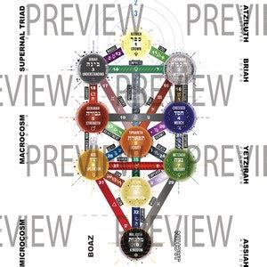 The Tree Of Life Princess Scale White Background Etsy The Tree Of Life Princess Scale White Background Etsy