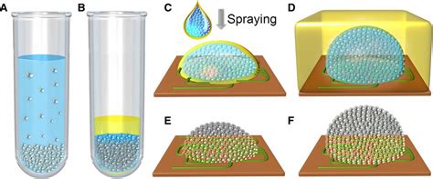Schematic Illustration Of The Assembly Of The All Dielectric Tio 2