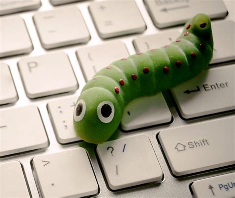 What Is A Computer Worm How They Work And Spread
