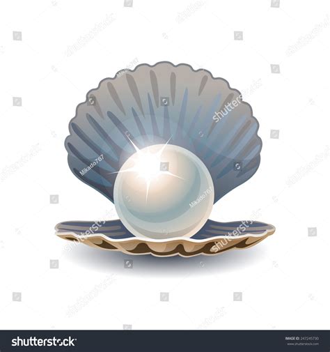 열린 조개 그림에서 빛나는 진주 스톡 일러스트 247245730 Shutterstock