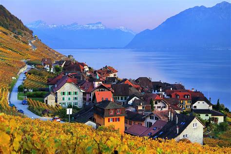 Swiss Indulgence