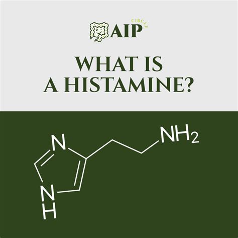 Testing For Histamine Intolerance Before Starting The Aip Diet