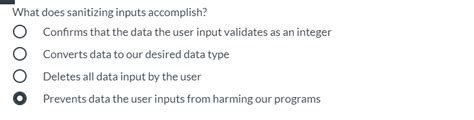 Solved What Does Sanitizing Inputs Accomplish Confirms That