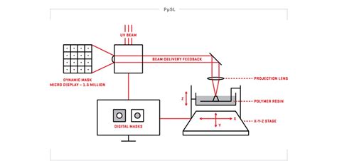 Projection Micro Stereolithography 3d Printing Bmf Bmf Boston Micro