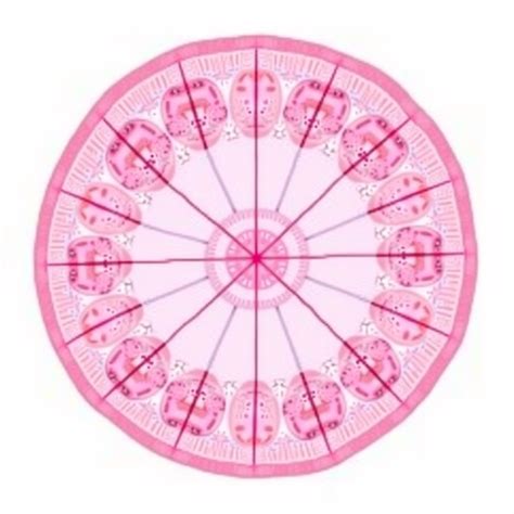 Metaphase Cell Illustration Stable Diffusion Online