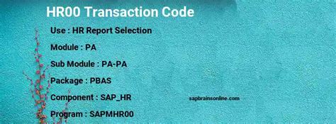 HR00 SAP Tcode For HR Report Selection HR00 SAP Tcode For HR Report Selection