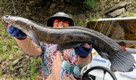 ジャイアントスネークヘッド「チャドー」を追う旅 In タイランド シーナカリン・ダム 2日目 釣り針ネックレス・アクセサリー エルドラド