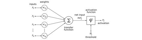 Explain Deep Neural Network And Shallow Neural Networks I2tutorials