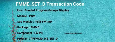 FMME SET D SAP Tcode For Funded Program Groups Display