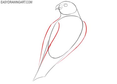 How To Draw A Falcon Easy Drawing Art