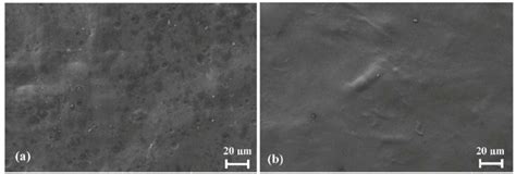 SEM Micrograph Of A Pure CMC And B CMC With Wt CH COONH Download Scientific
