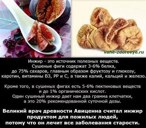 Инжир польза и вред калорийность Чем полезна фига для мужчин и женщин Nutrition Health And