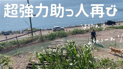 久しぶり義兄さんの登場に喜ぶるこたんです YouTube