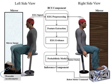 Mirror Therapy Stroke Lower Extremity At Alonzo Caraway Blog